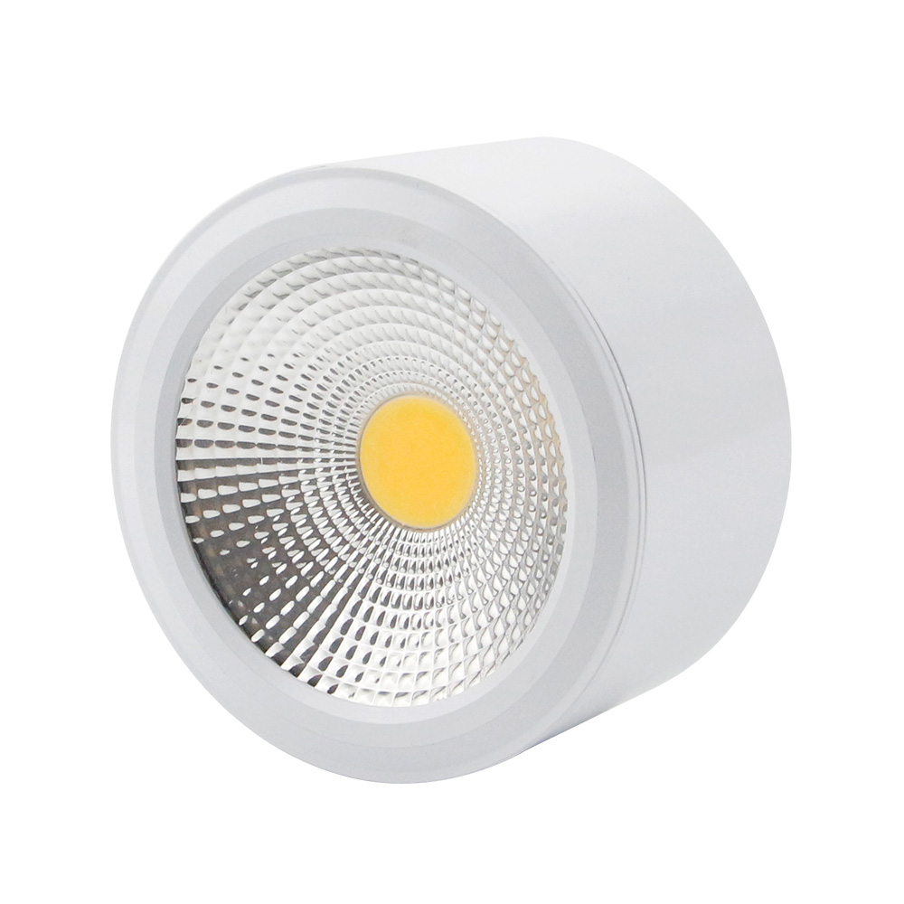 LED Downlight Cylinder Surface white 20W - W8 Label
