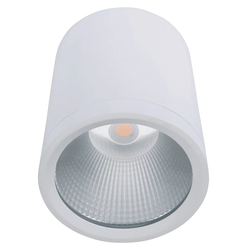 LED Downlight Cylinder Surface white 20W - W8 Label